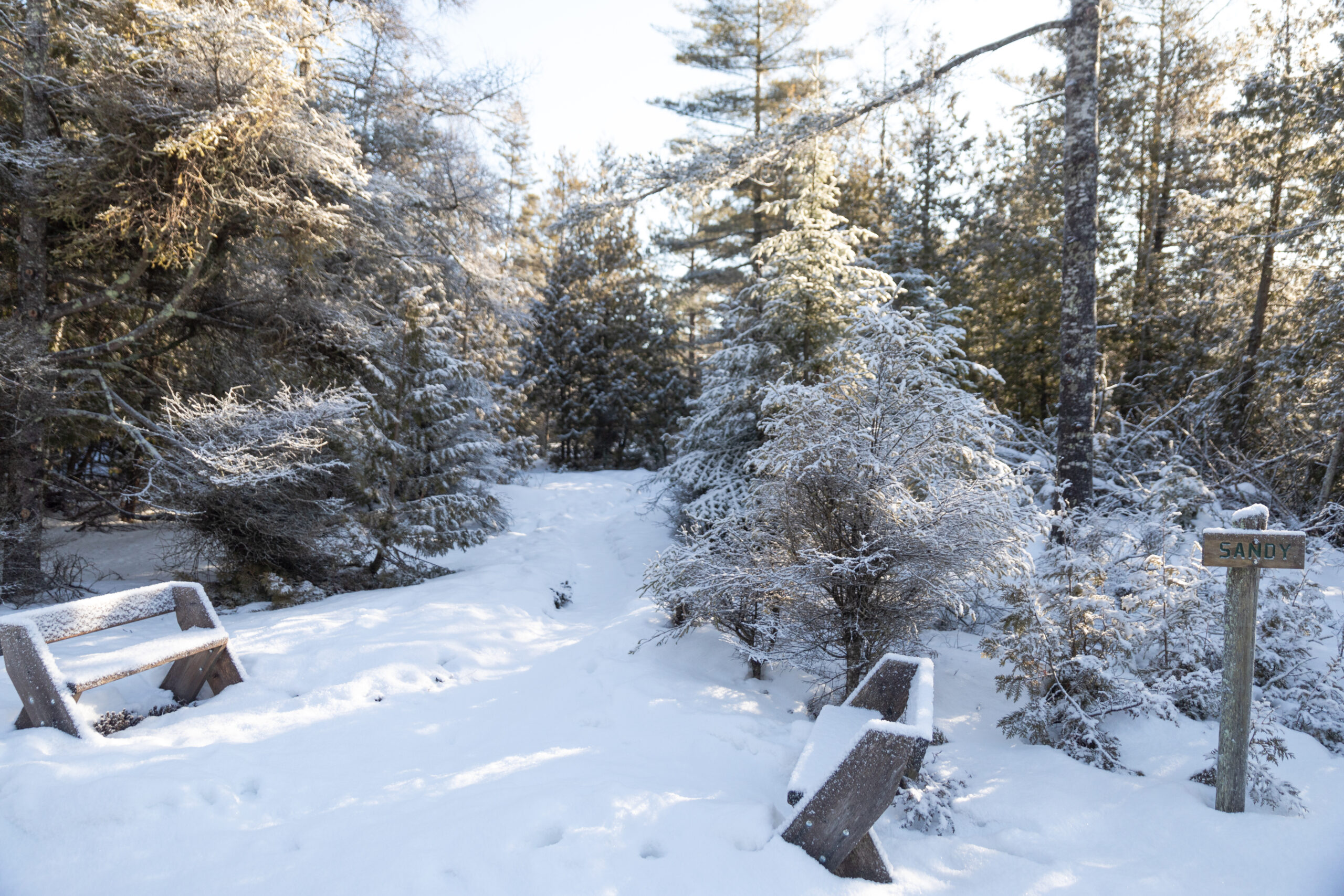 The Ridges Sanctuary – Preservation, Education, and Research - The ...