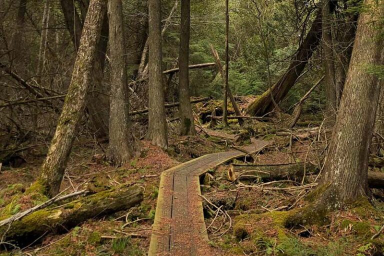 Our Properties - The Ridges Sanctuary