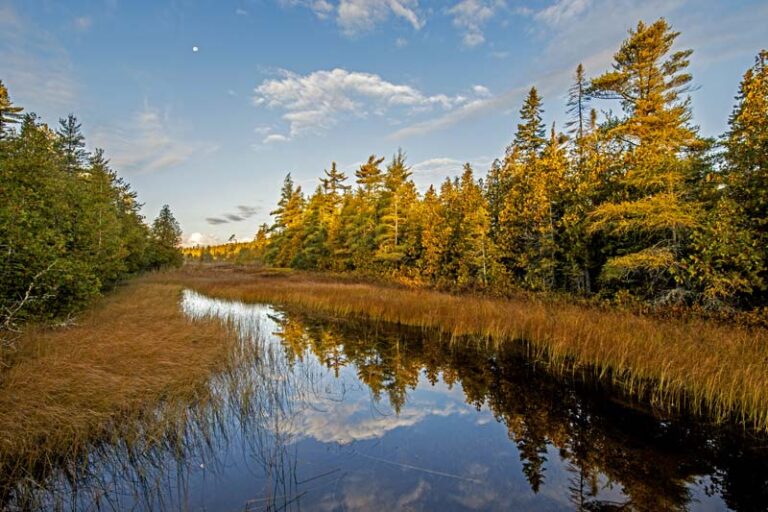 Our Properties - The Ridges Sanctuary