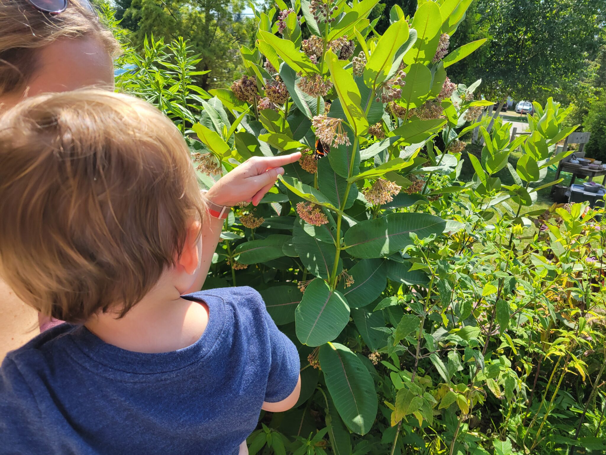 The Ridges Sanctuary – Preservation, Education, and Research - The ...