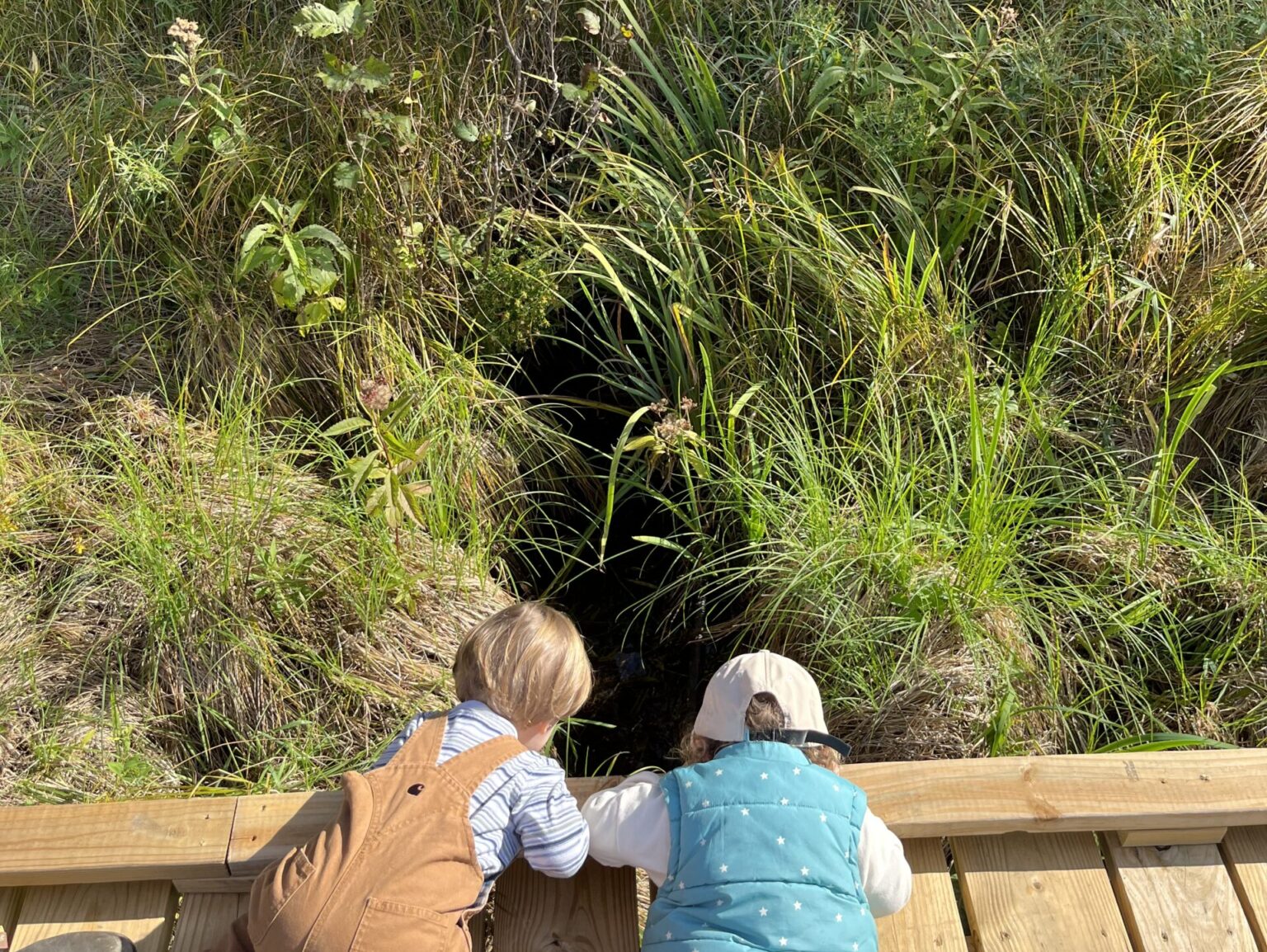 Events from June 5, 2024 – July 18, 2024 – The Ridges Sanctuary