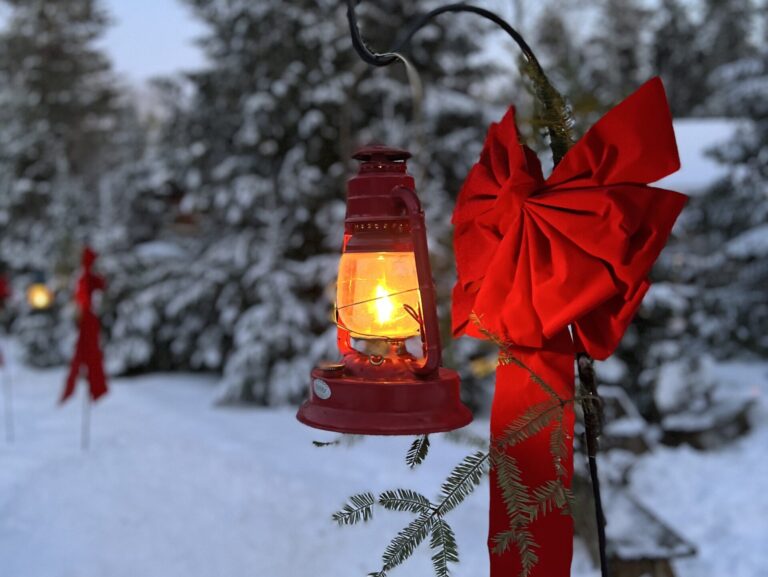 The Ridges Sanctuary – Preservation, Education, and Research - The ...