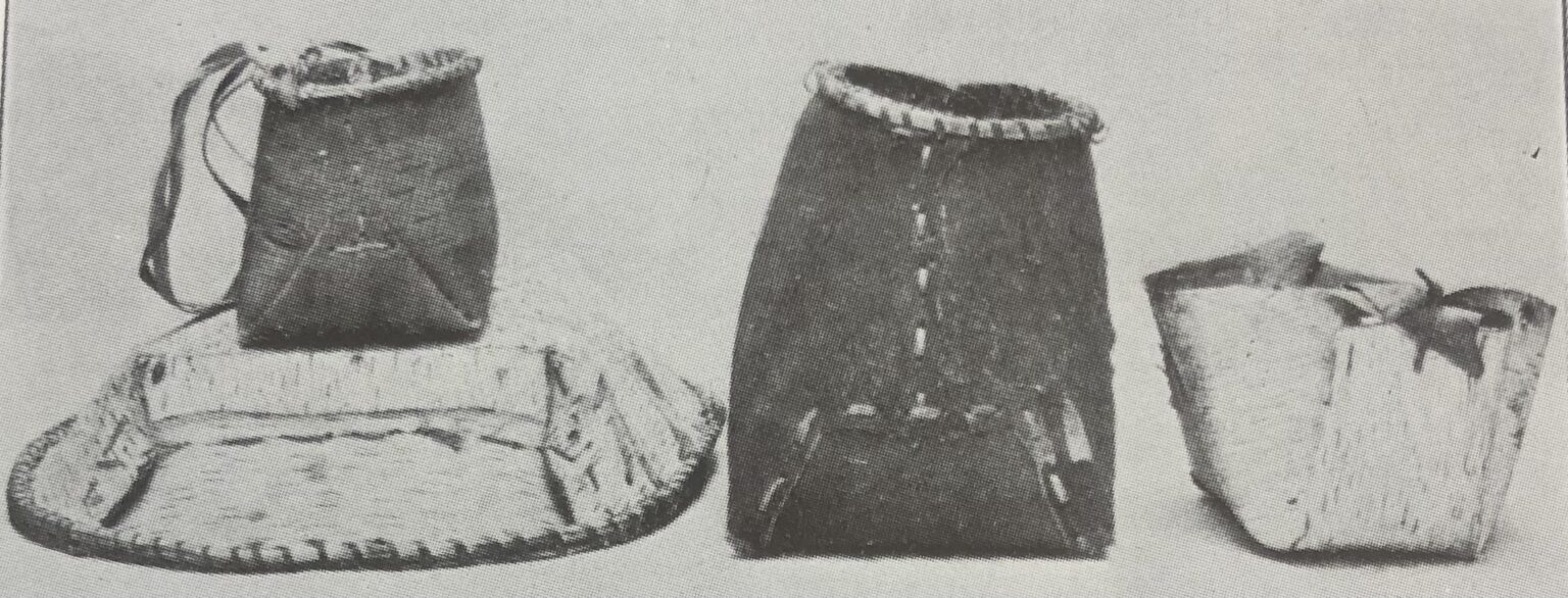 Summer Project Spotlight: Indigenous Plant Use in The Ridges Sanctuary ...