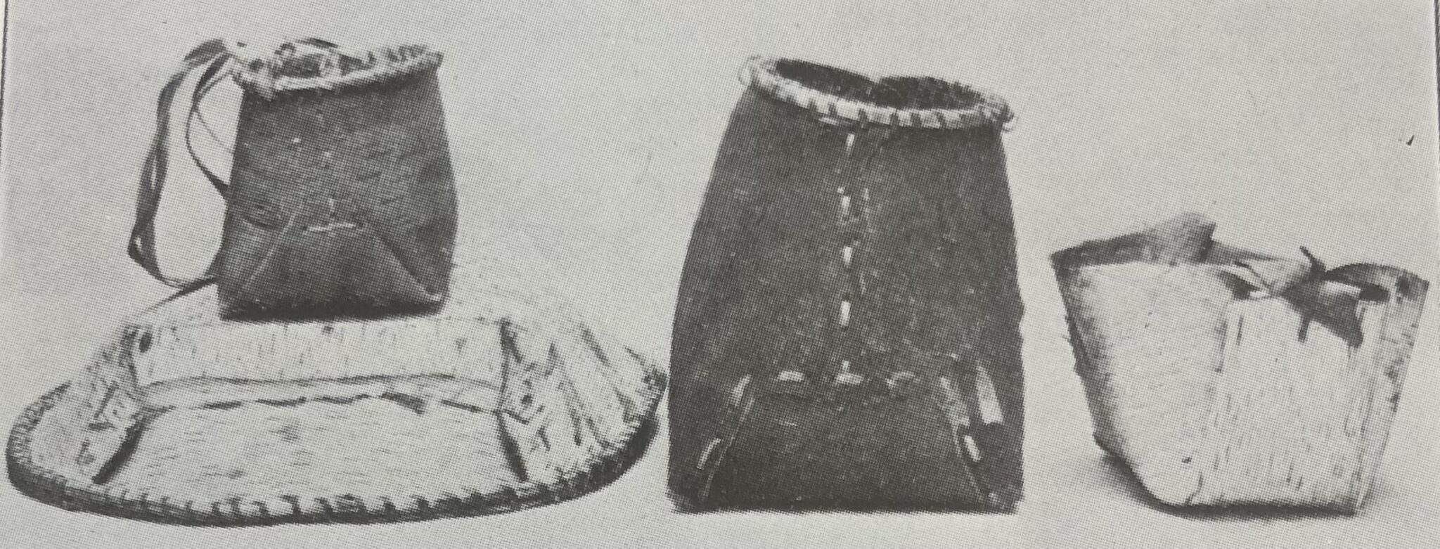 Summer Project Spotlight: Indigenous Plant Use in The Ridges Sanctuary ...