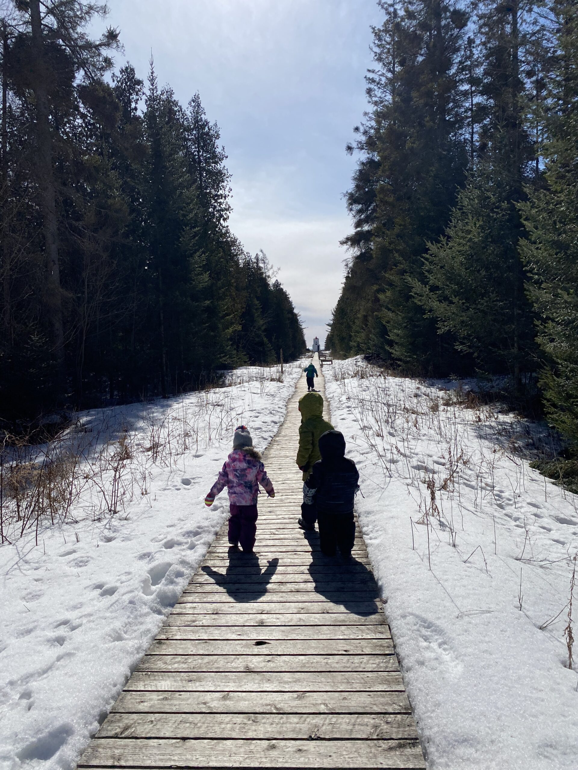 Tiny Trekkers | January (Tues) | Winter Magic - The Ridges Sanctuary