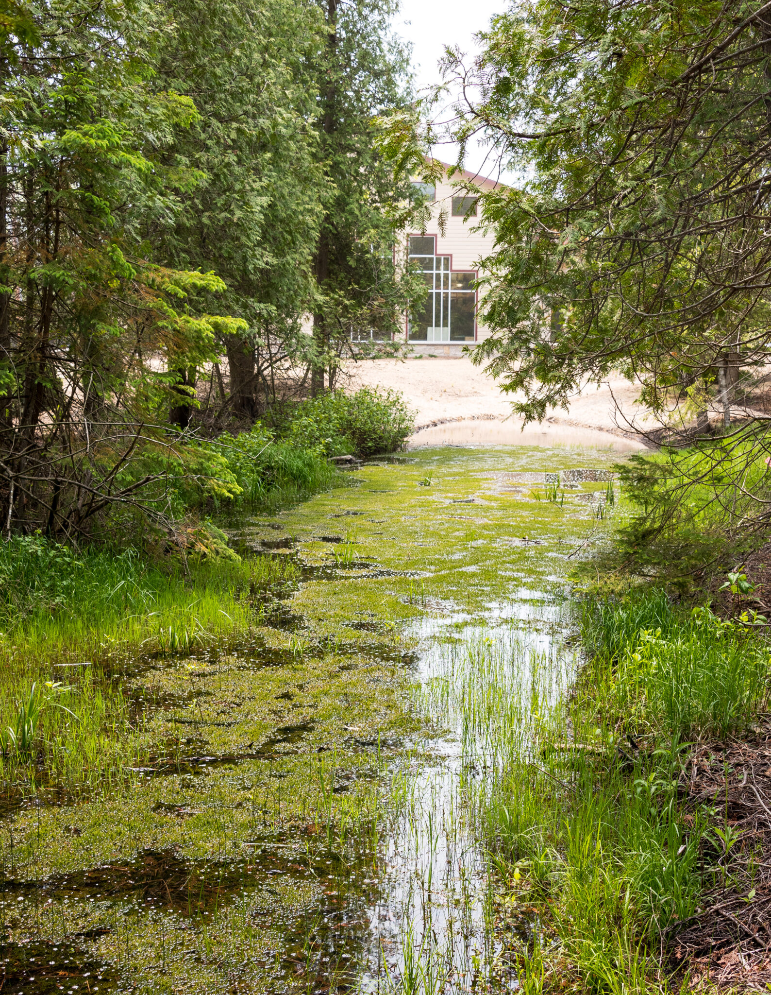 The Ridges Sanctuary – Preservation, Education, and Research - The ...